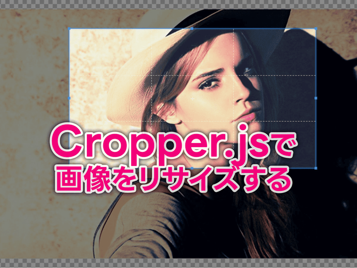 Cropper.js でアップロードした画像をリサイズしたファイルをダウンロードする - セブ島海外ノマドエンジニアの日記【銀ねこアトリエ】